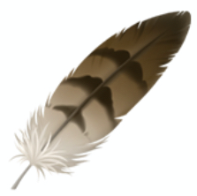 Welcome to the World of Nikki Wordsmith